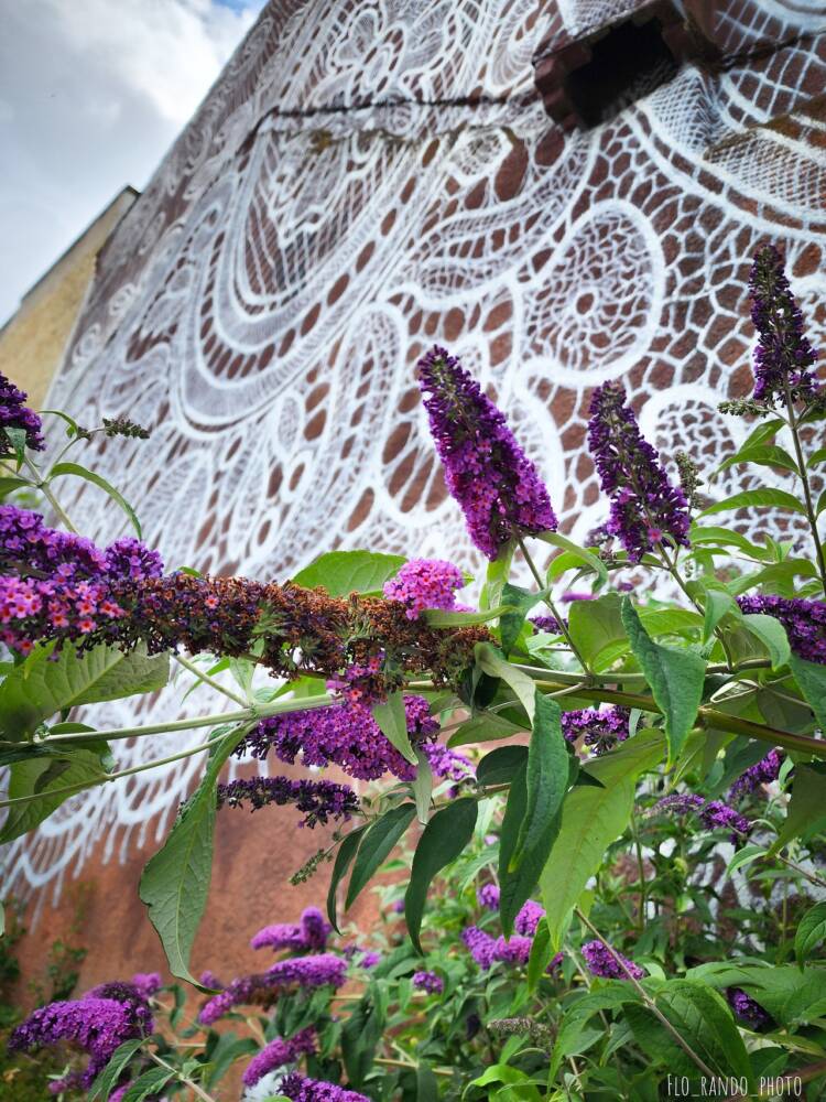 Découvrir le Street Art à Calais | Calais XXL Tourisme