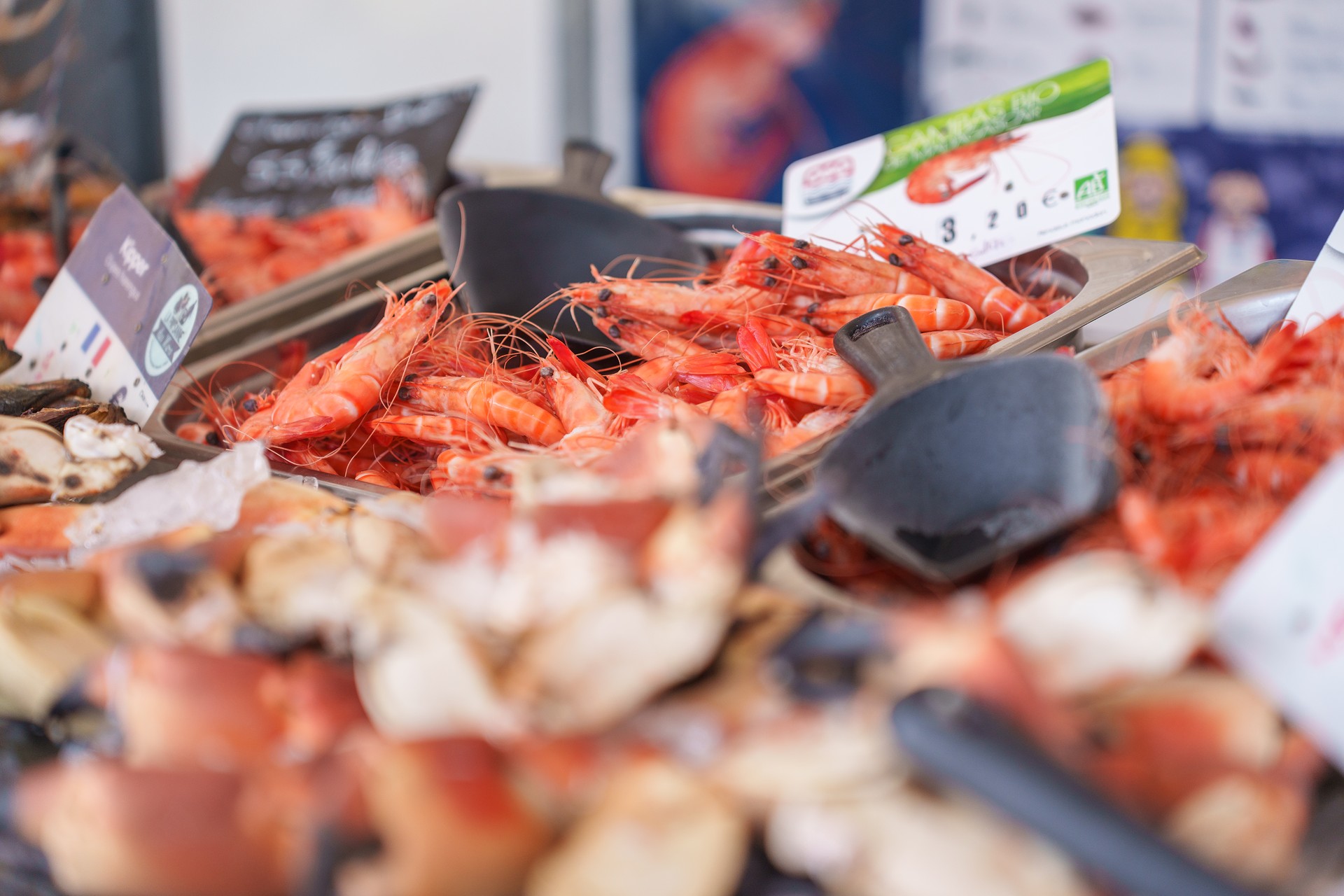Gastronomy and local products in Calais XXL | Calais XXL Tourism