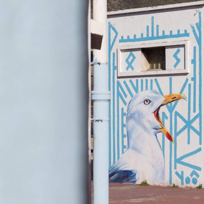 Découvrir le Street Art à Calais | Calais XXL Tourisme